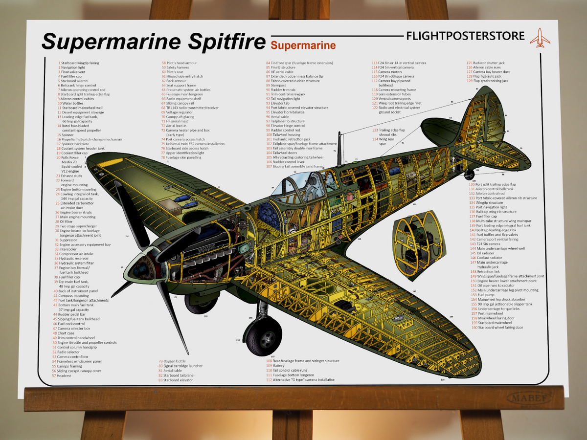 Supermarine Spitfire Anatomy Poster – flightposterstore